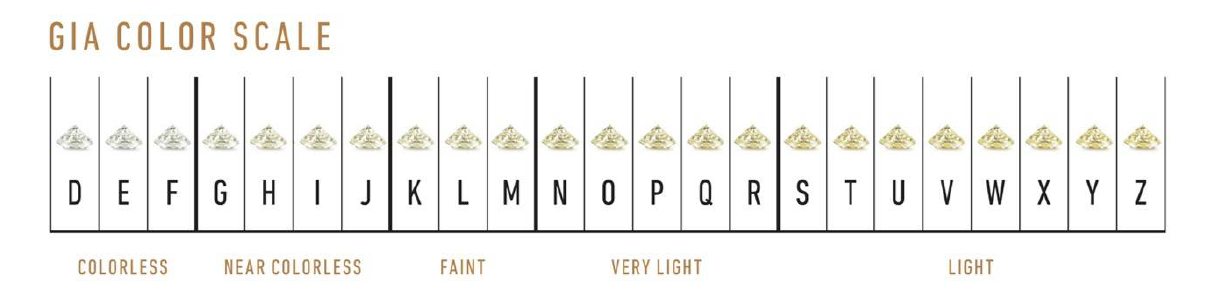 BASIC KNOWLEDGE- GIA - Jannpaul